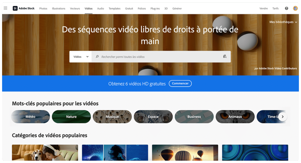 Top 15 Free & Paid Royalty-Free Stock Video Banks