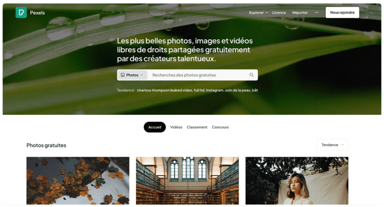 Top 15 Des Banques De Vidéos Libres De Droit Gratuites And Payantes 4705